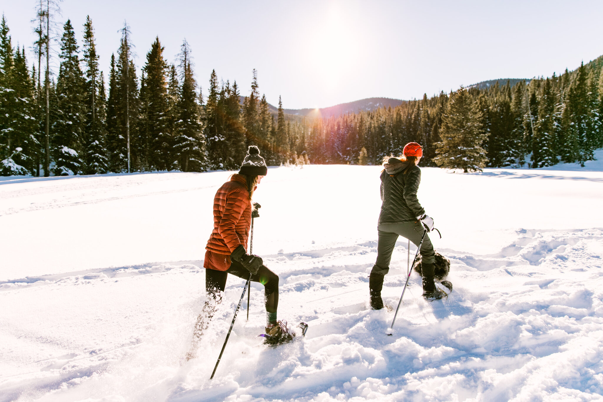 Things to Do in Bozeman Mt in Winter: Ultimate Adventure Guide